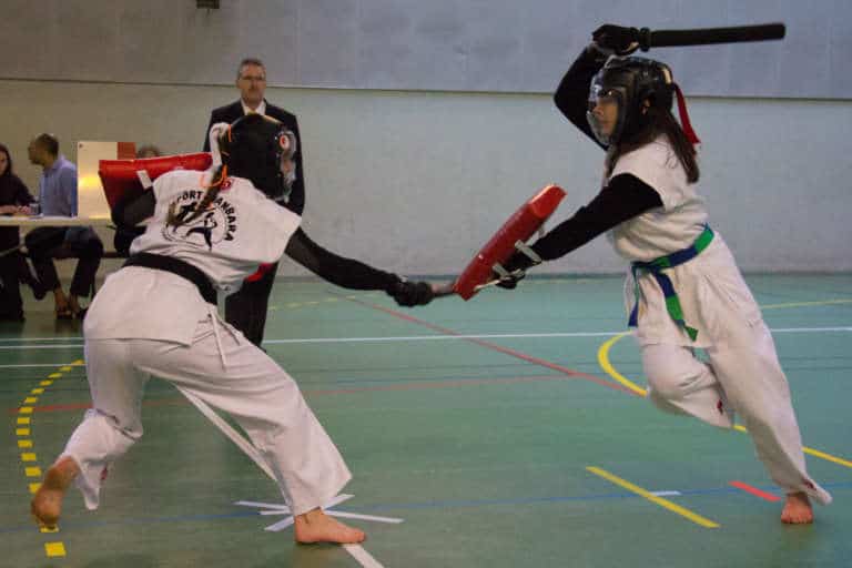 Chanbara - Comité National de Kendo et Disciplines Rattachées